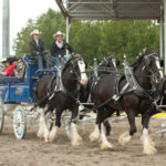 Cloverdale Rodeo and Country Fair | The Rodeo and Country Fair Returns ...