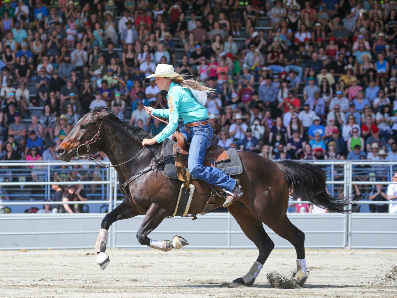 Rodeo | Cloverdale Rodeo and Country Fair