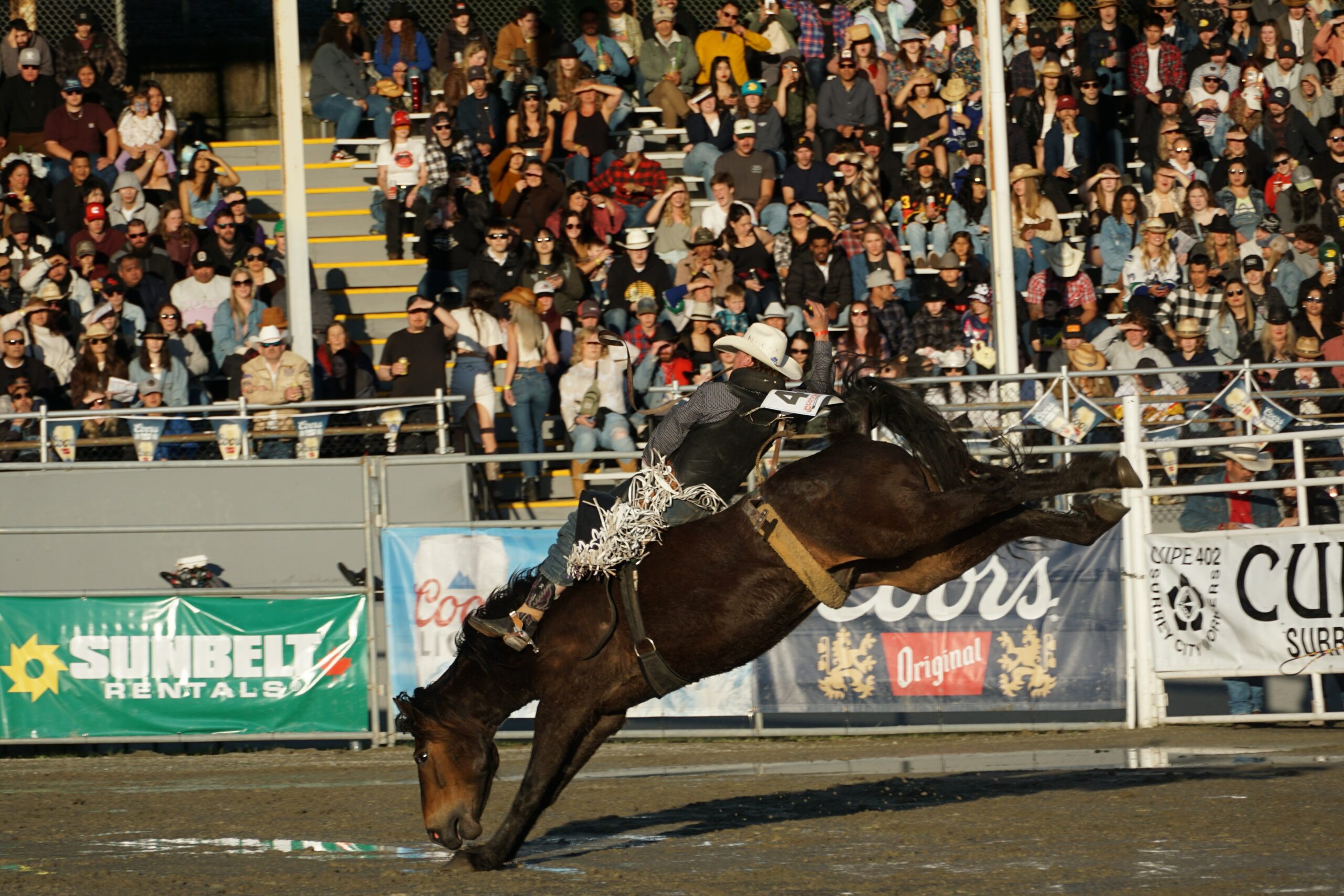 Pool B Dazzles Fans at the Cloverdale Rodeo on Saturday Night ...