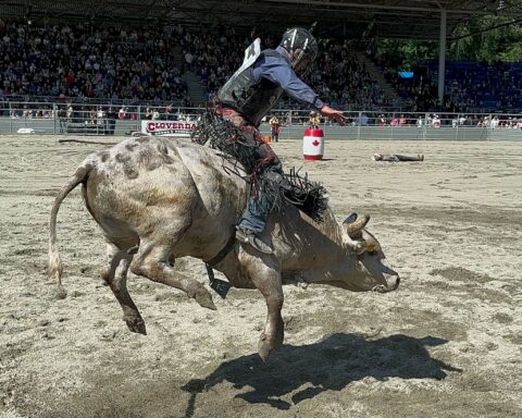 Unforgettable Stories Unfold at the 2024 Cloverdale Rodeo | Cloverdale ...