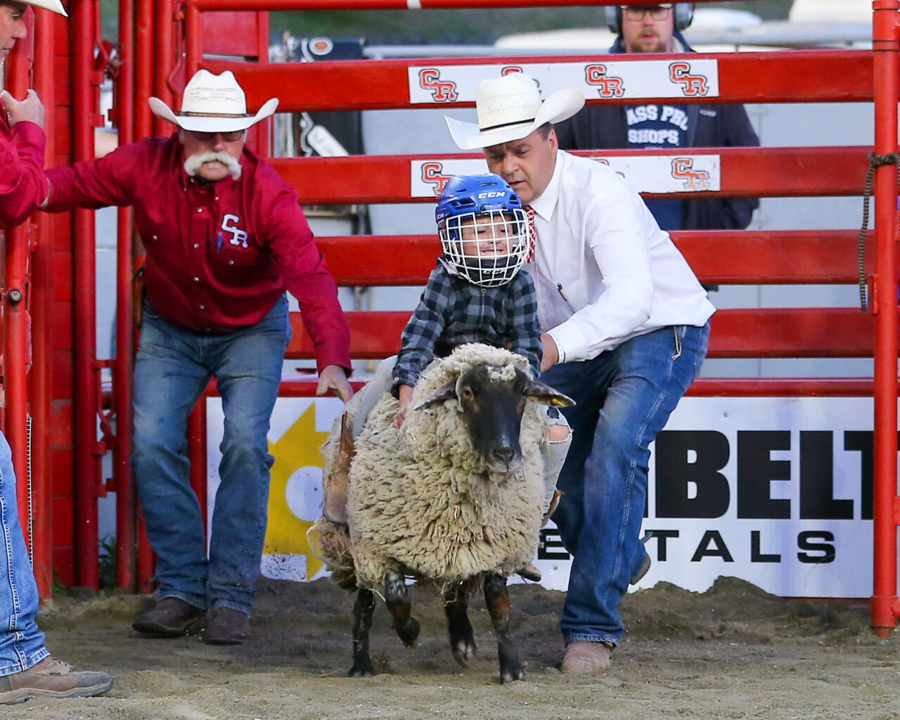 Mutton Bustin | Cloverdale Rodeo and Country Fair