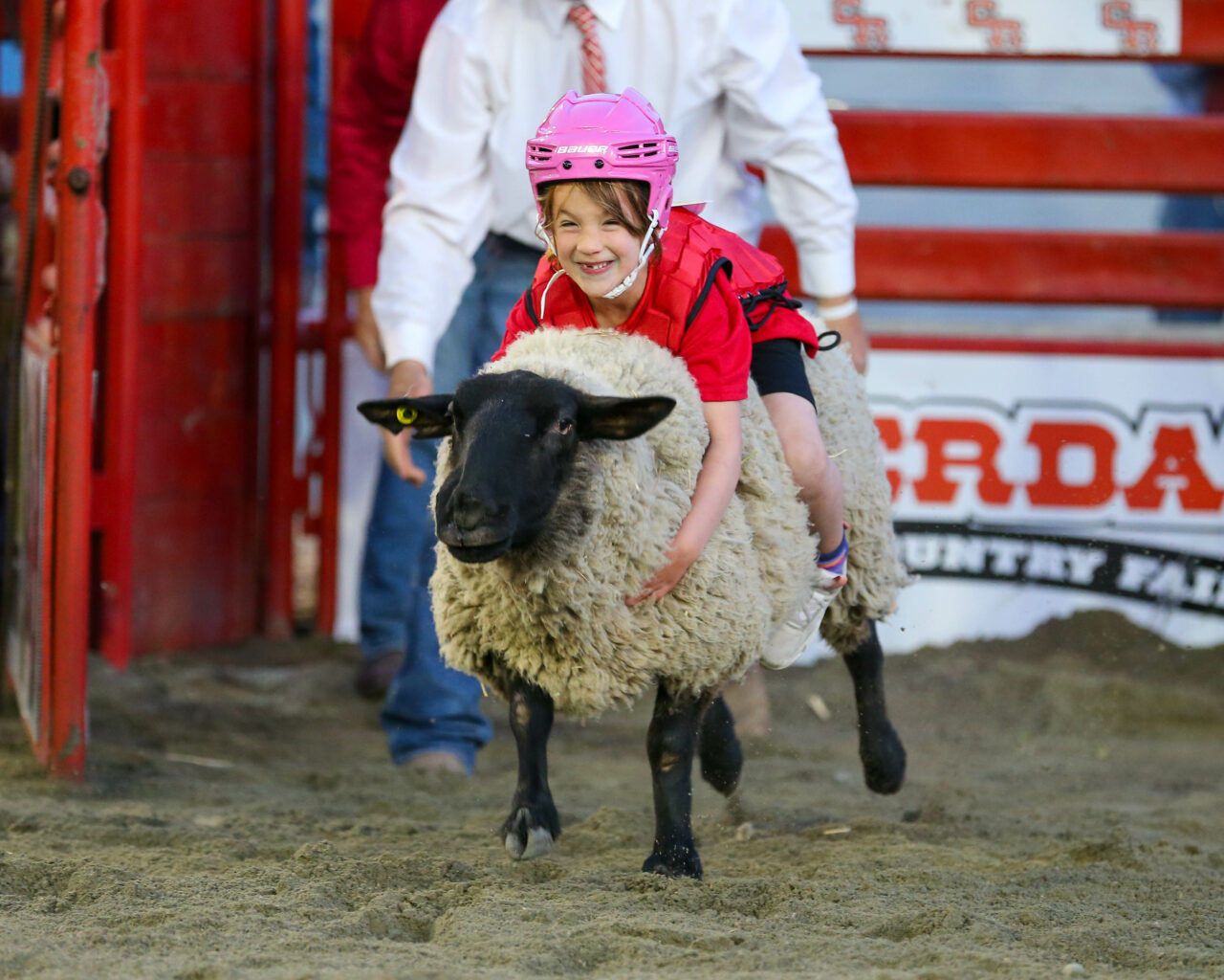 Mutton Bustin | Cloverdale Rodeo and Country Fair
