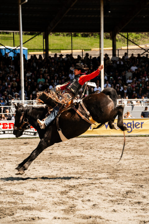 Country Fair | Cloverdale Rodeo and Country Fair